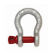 Crosby G-209 / S-209 Screw Pin Anchor Shackles | Mazzella