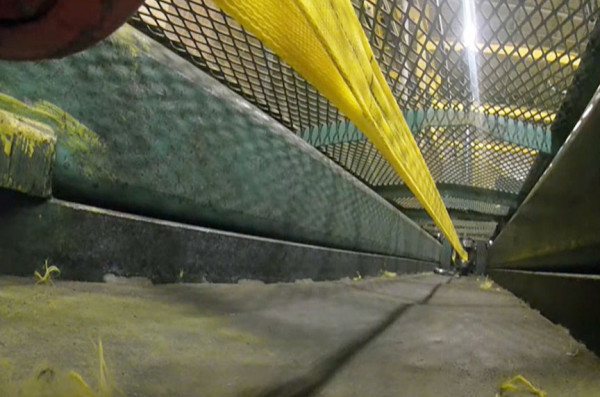 When Do ASME Standards Require Proof Tests for Rigging Gear?