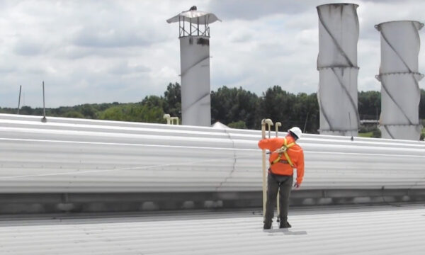 What is a Lifeline Fall Protection System? Different Types & OSHA ...