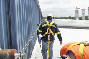 What is a Lifeline Fall Protection System? Different Types & OSHA ...