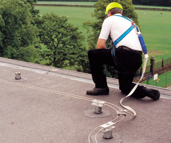 What is a Lifeline Fall Protection System? Different Types & OSHA ...
