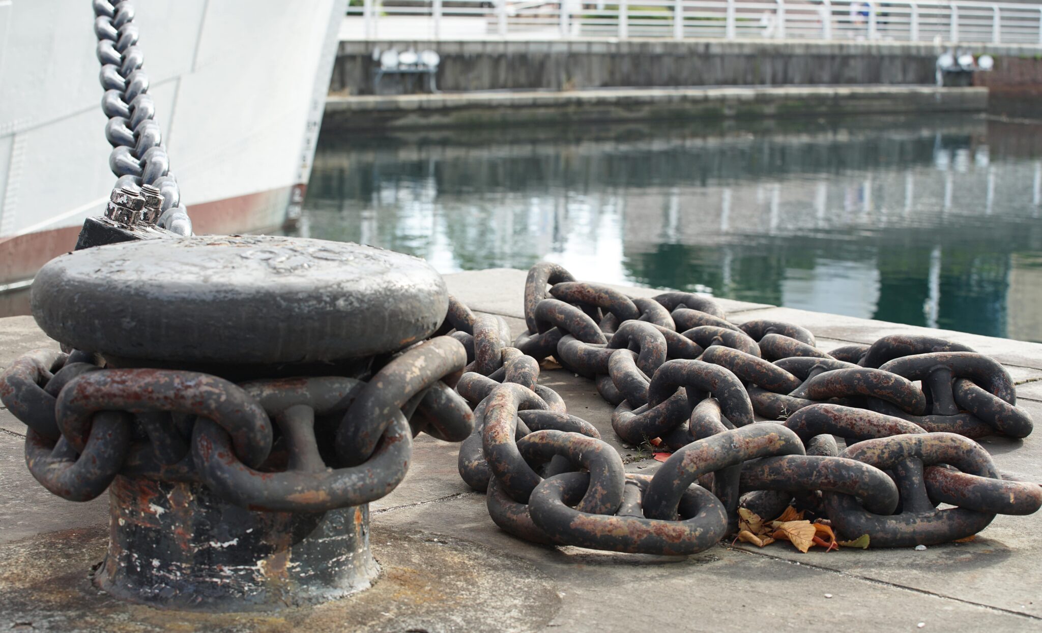 The Most Common Types of Mooring Lines and Their Best Applications ...